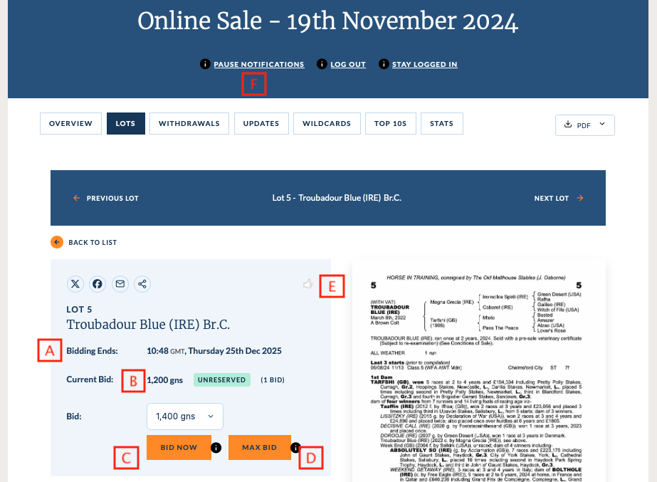 How it Works - Online